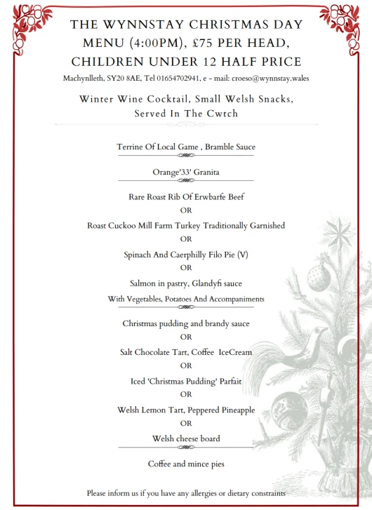Celebrate Christmas in Machynlleth - Wynnstay